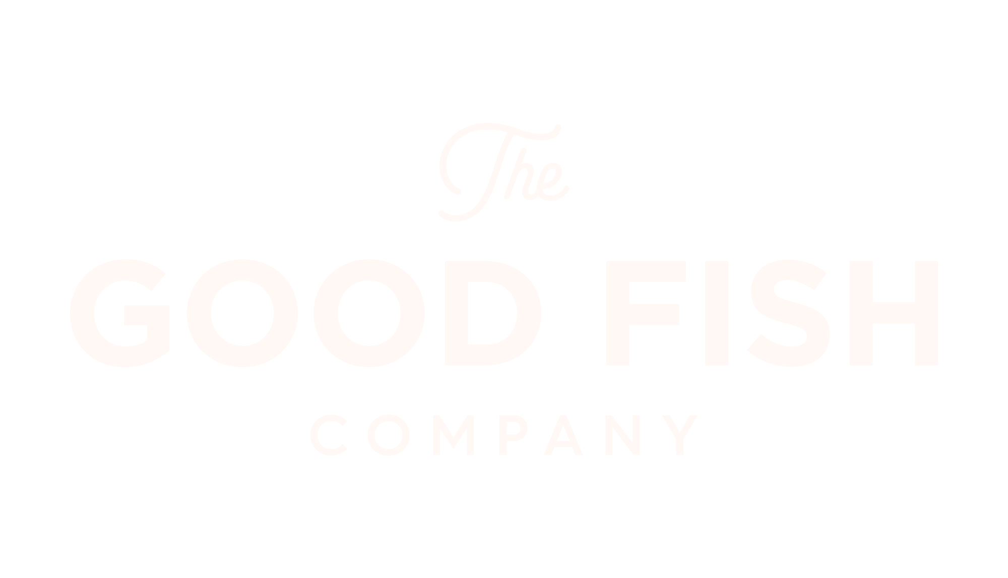The Good Fish Company - Contact Us
